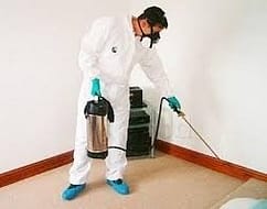 Methods Of Pest Control Auckland: Best Practices